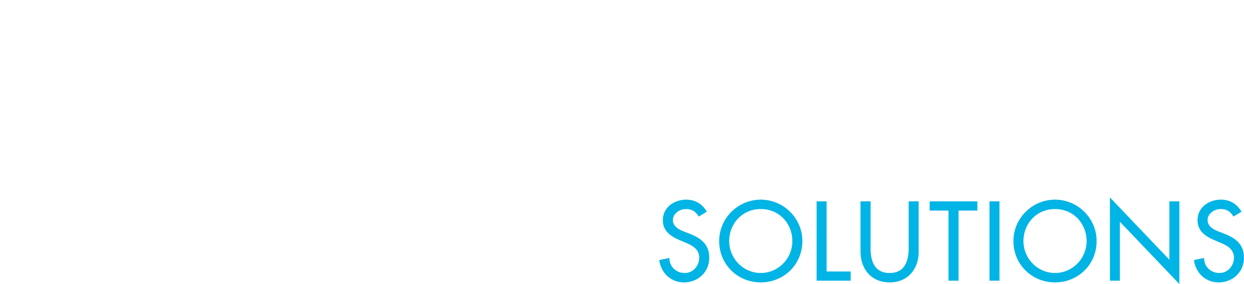 Smartleads | Customer Portal